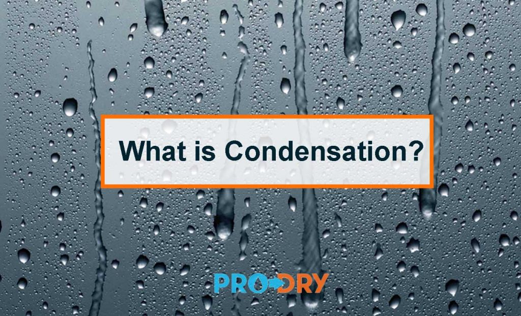 What is Condensation? - Blog | Pro-Dry
